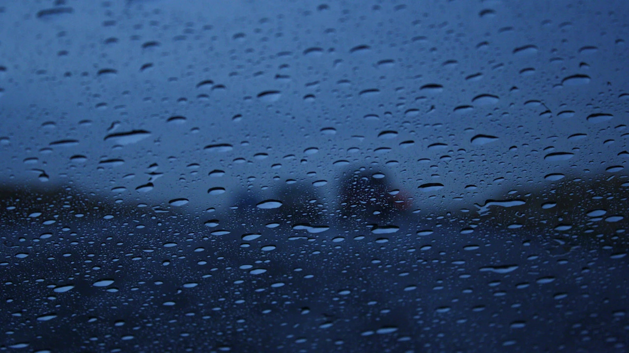 Bellingham, WA Weather Forecast, Conditions, and Maps – Yahoo Weather