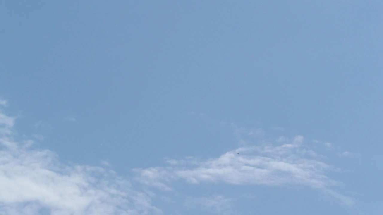 Ocala, FL Weather Forecast, Conditions, and Maps – Yahoo Weather